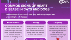 Cytology Wall Chart